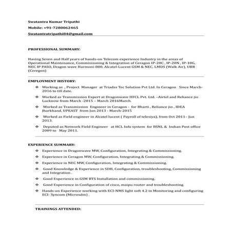 usama(new) CV | PDF