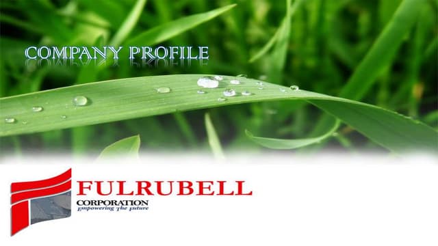 COMPANY PROFILE BATFEED.1 | PDF