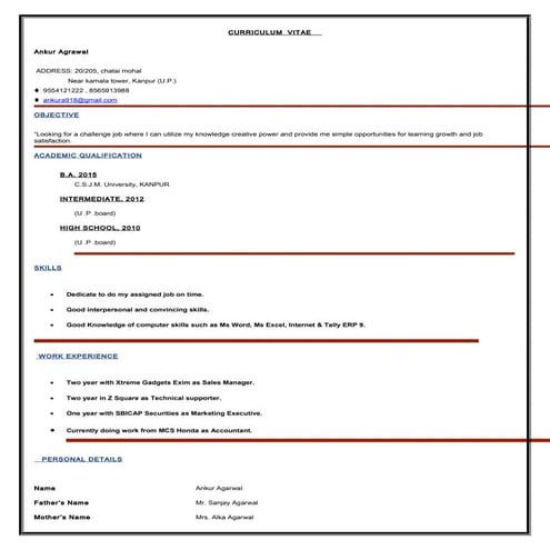 ANKUR CV | PDF