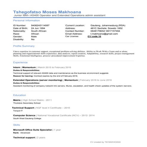 Valkama Anna CV 2016 EN | PDF