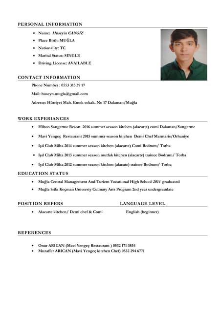 MEHMET MAYA UPDATED CV | PDF