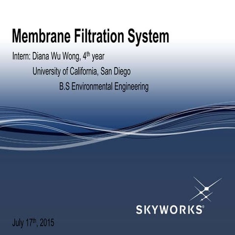 Skywork's presentation | PPTX