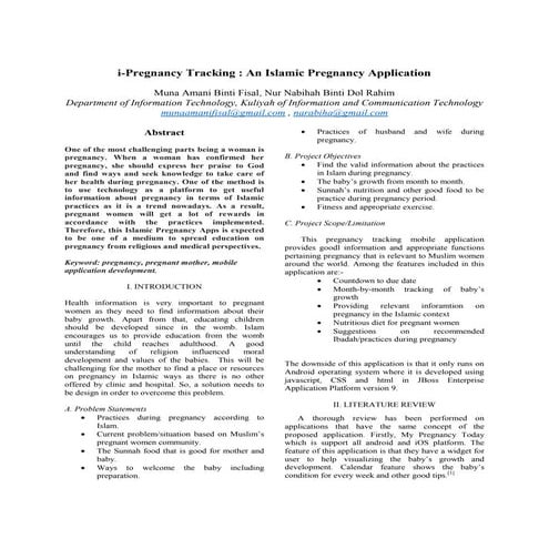 Project Summary i-Pregnancy | PDF