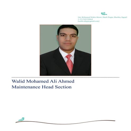 Walid Mohamed Ali Ahmed | PDF