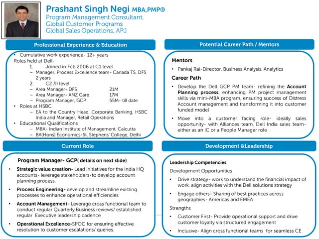 Individual Talent Profile Template | PDF | Business | Business and Finance
