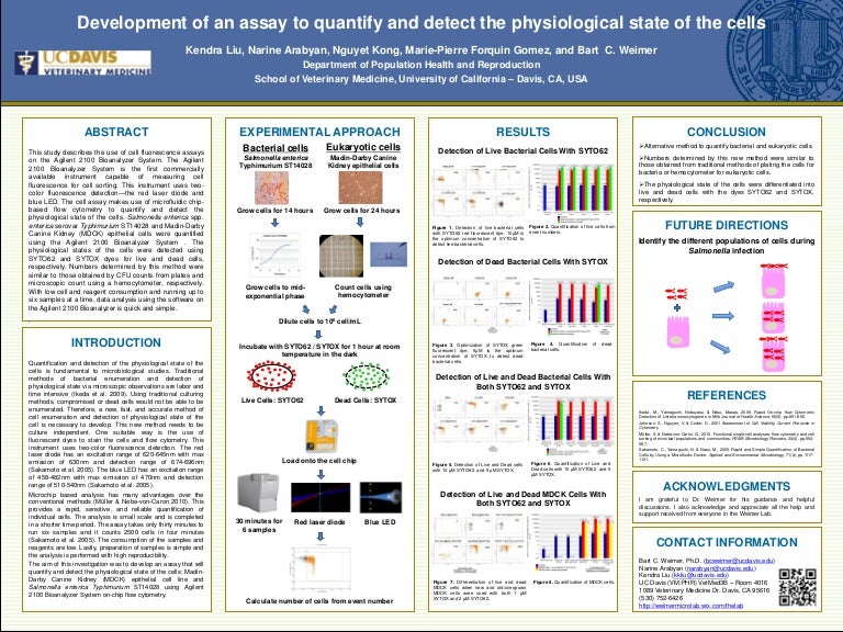 Undergraduate Research Conference Poster 2015