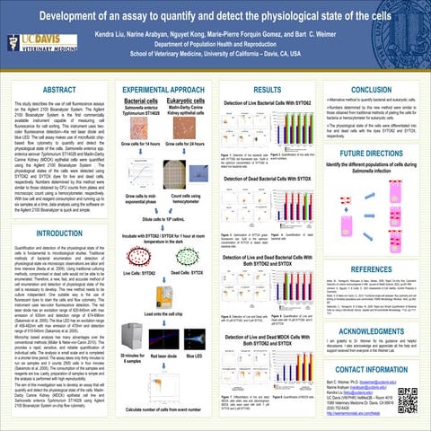 Undergraduate Research Conference Poster 2015 | PDF