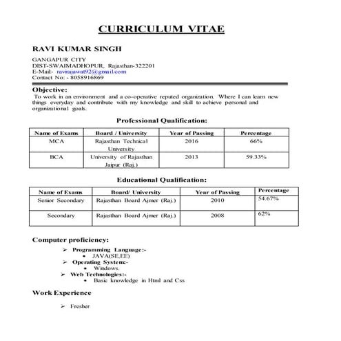 ravi_resume | DOCX | Programming Languages | Computing