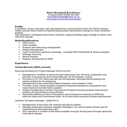 CV Mirko Bortoloso - English | PDF