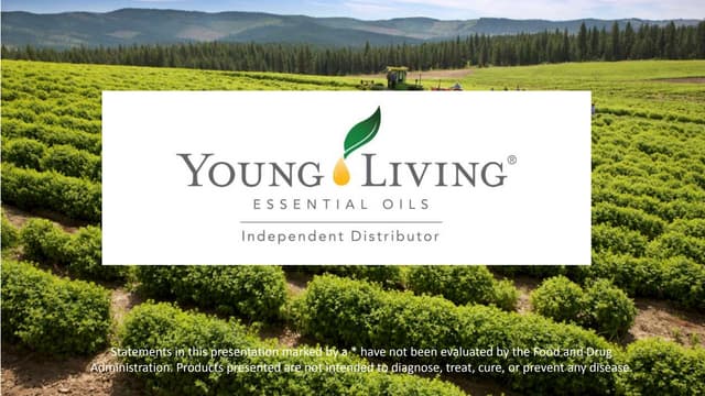 Young Living Independent Distributor Logo