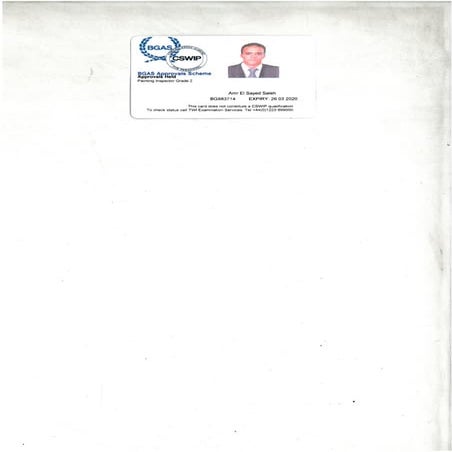 BGAS-CSWIP painting inspector | PDF