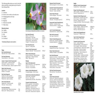 Common Plants | PDF