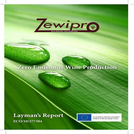 ZEWIPRO Layman's report | PDF