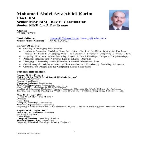 Mohamed Abdel Aziz CV 2015 | PDF