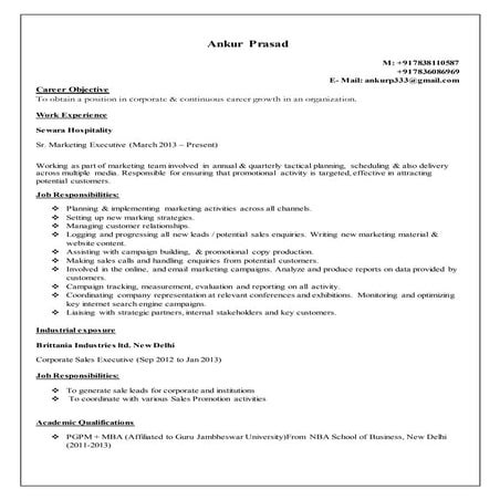 CV - Omar Labib Aly - 2015 | DOCX