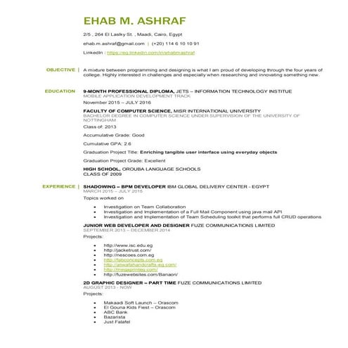 Ehab Mohamed Ashraf - CV | PDF