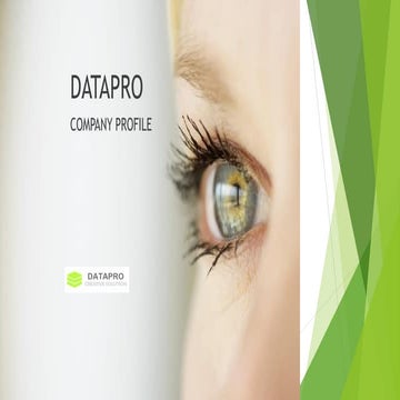 DataPro-Company Profile | PDF