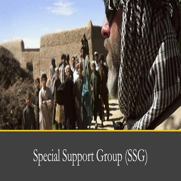 Special Support Group (SSG) | PDF
