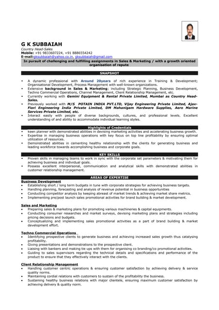 Cv ledan adrian_robert_en | PDF