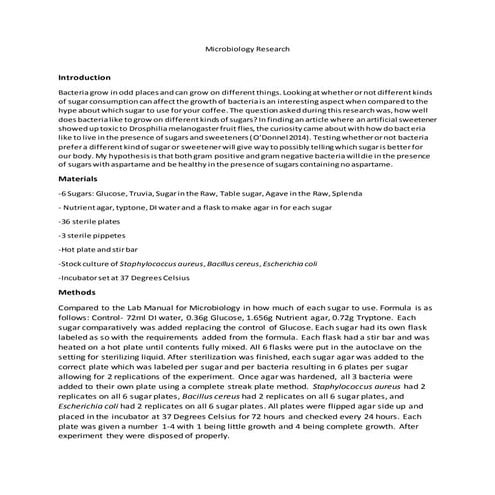 Microbiology Research Summary | DOCX