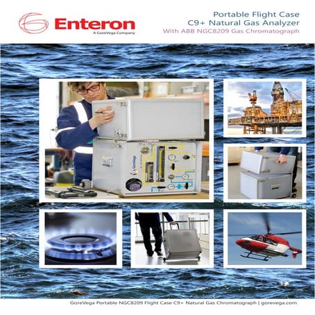 24910 Enteron Sheets | PDF