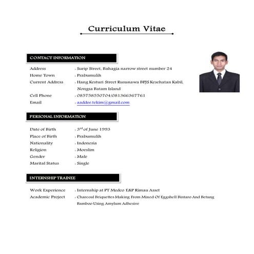 CV English Updated | PDF