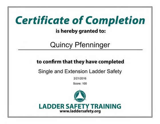 Primary Induction Certificate | PDF