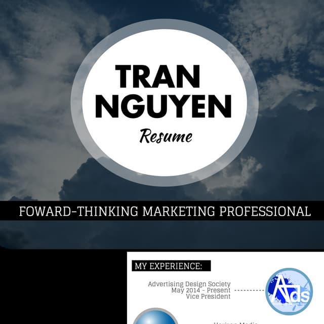 Tran Kate Nguyen Visual Profile | PDF