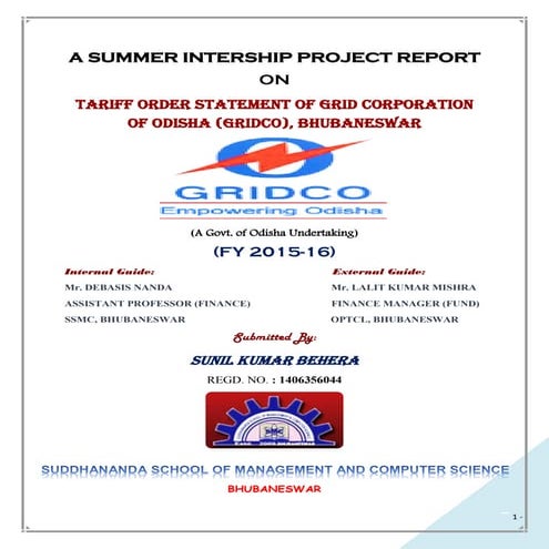SUMMER INTERSHIP PROJECT REPORT | PDF