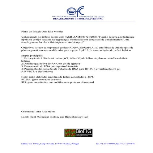 Plano de Estágio Ana Rita Mendes | PDF