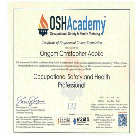 OHS Professional | PPT