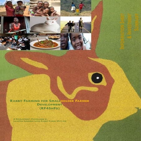 Rabbit_Farming(RF4ShFd)_Info_Sheet | PDF