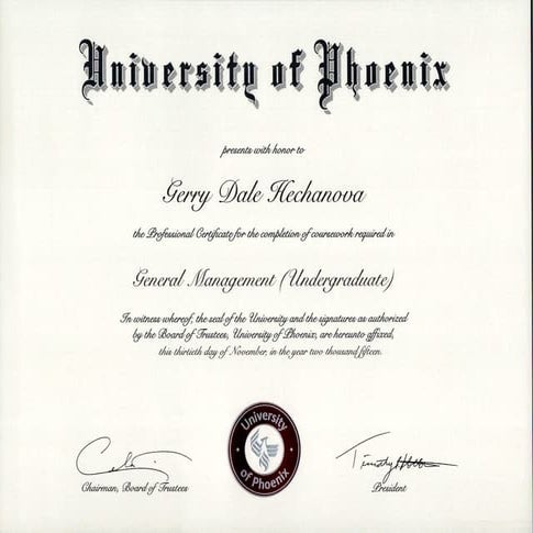 General Management (Undergraduate) in Business | PDF