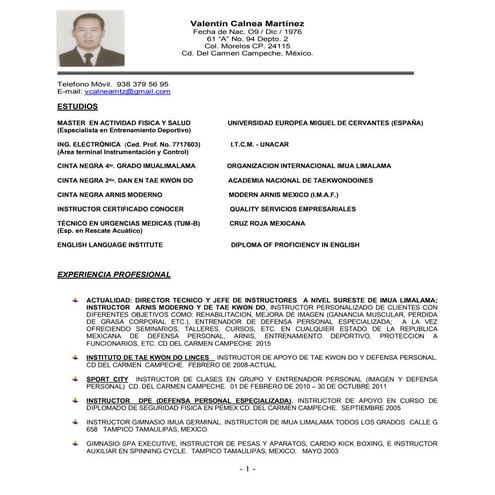 CV Valentin Calnea 2015 (Deportivo) | PDF