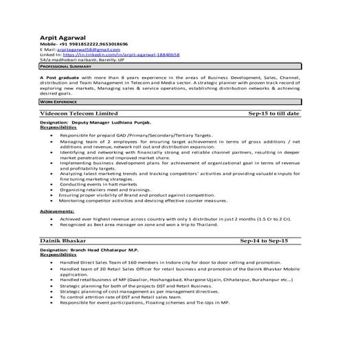 Arpit Agarwal CV | DOCX | Sales | Business