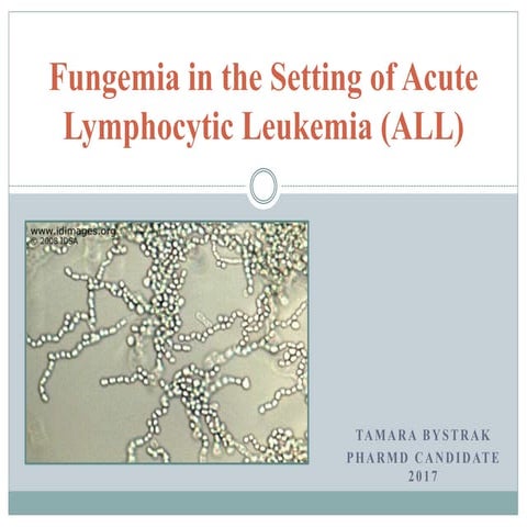 Fungemia in the Setting of Acute Lymphocytic Leukemia (FINAL)-1 | PPTX