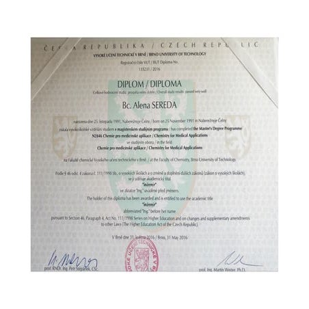 diplom Ing-ilovepdf-compressed | PPT