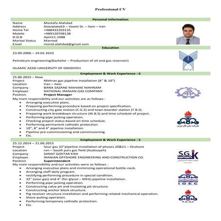 Professional CV | PDF