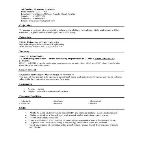 Marwan CV | DOCX