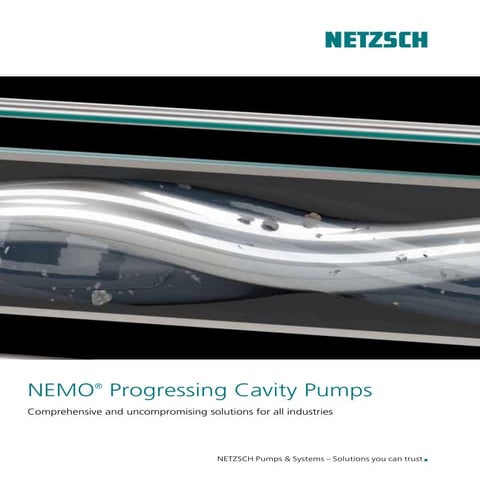 NETZSCH_Pumps_Comprehensive_ Solutions | PDF