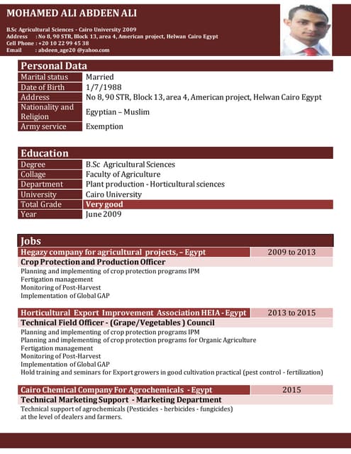 Cv abdelrahman ibrahim | PDF | Business | Business and Finance