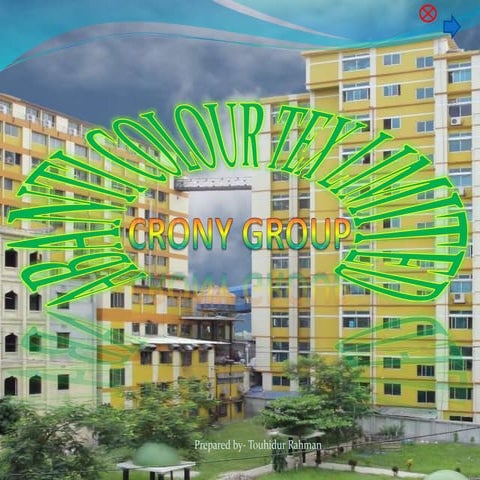 CRONY GROUP | PPSX