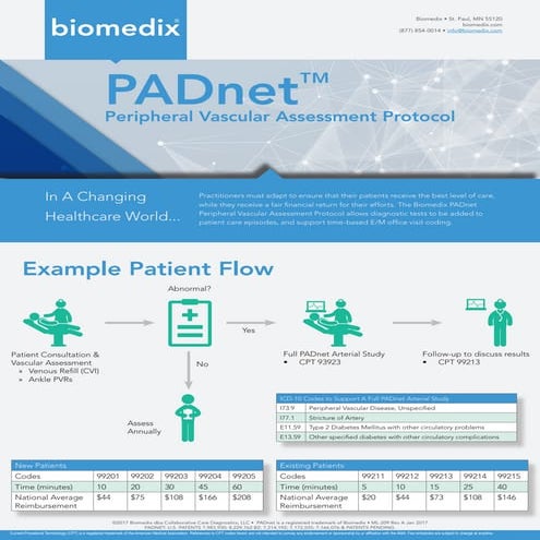 Peripheral Vascular Assessment Protocol | PDF