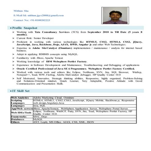 Aniket CV | PDF