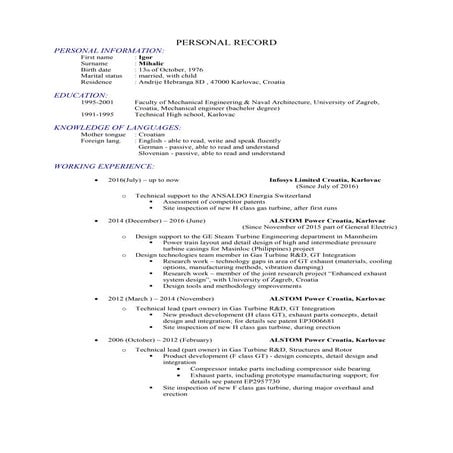 CV_Igor Mihalic | PDF