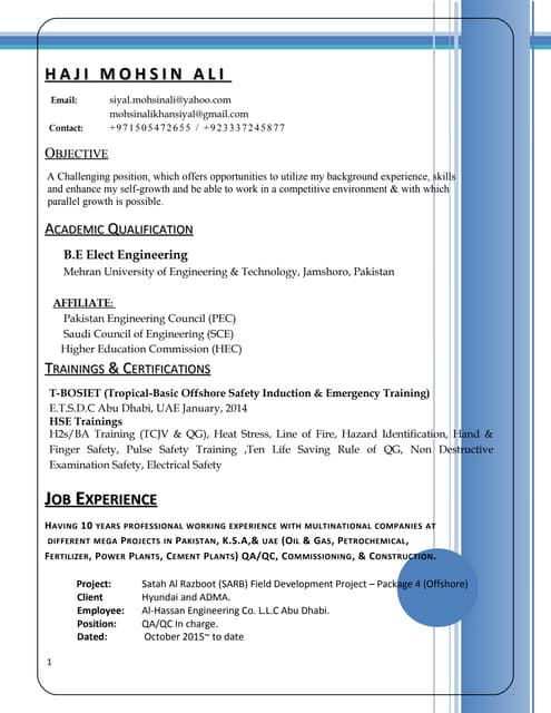 E&I inspector cv | DOC | Home Appliances | Home & Garden