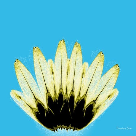 11_0088_FR Prints postcard_wip04 | PPT