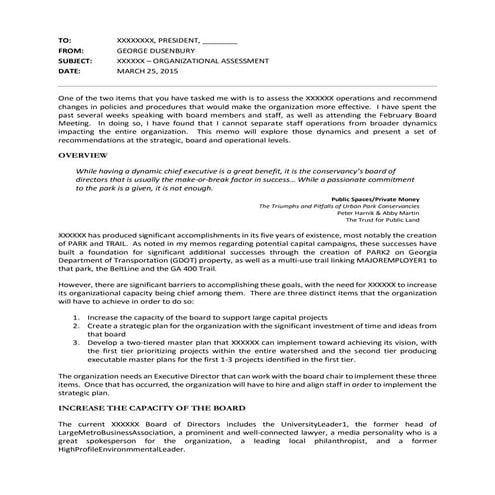 Organizational Assessment Sample | PDF