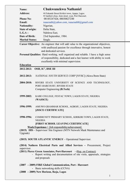 CV HIB | DOCX | Legal Services Industry | Industries