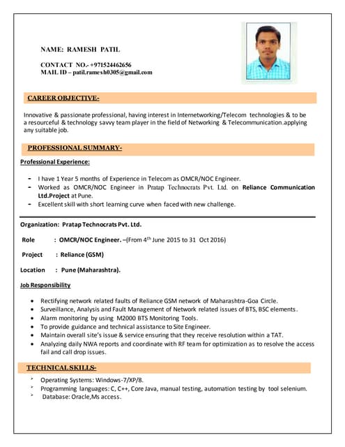 FORMAT READY RESUME | PDF